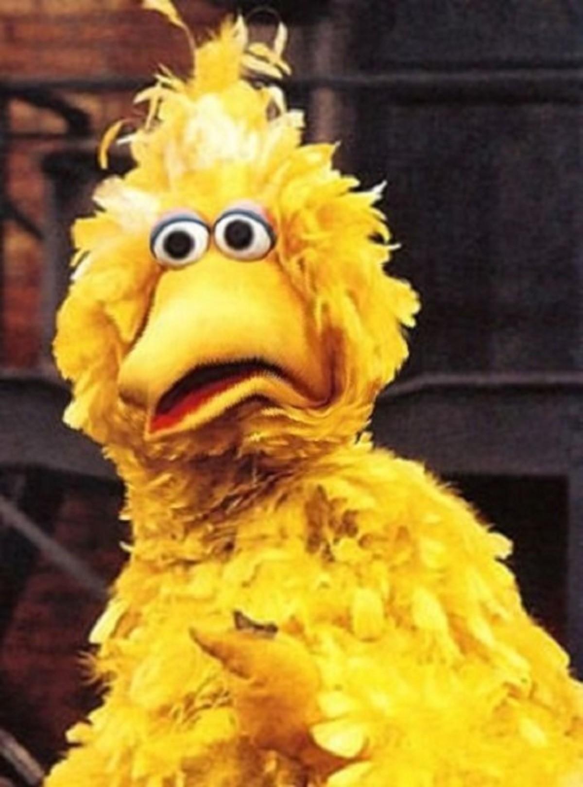 Big-Bird takes a lie detector